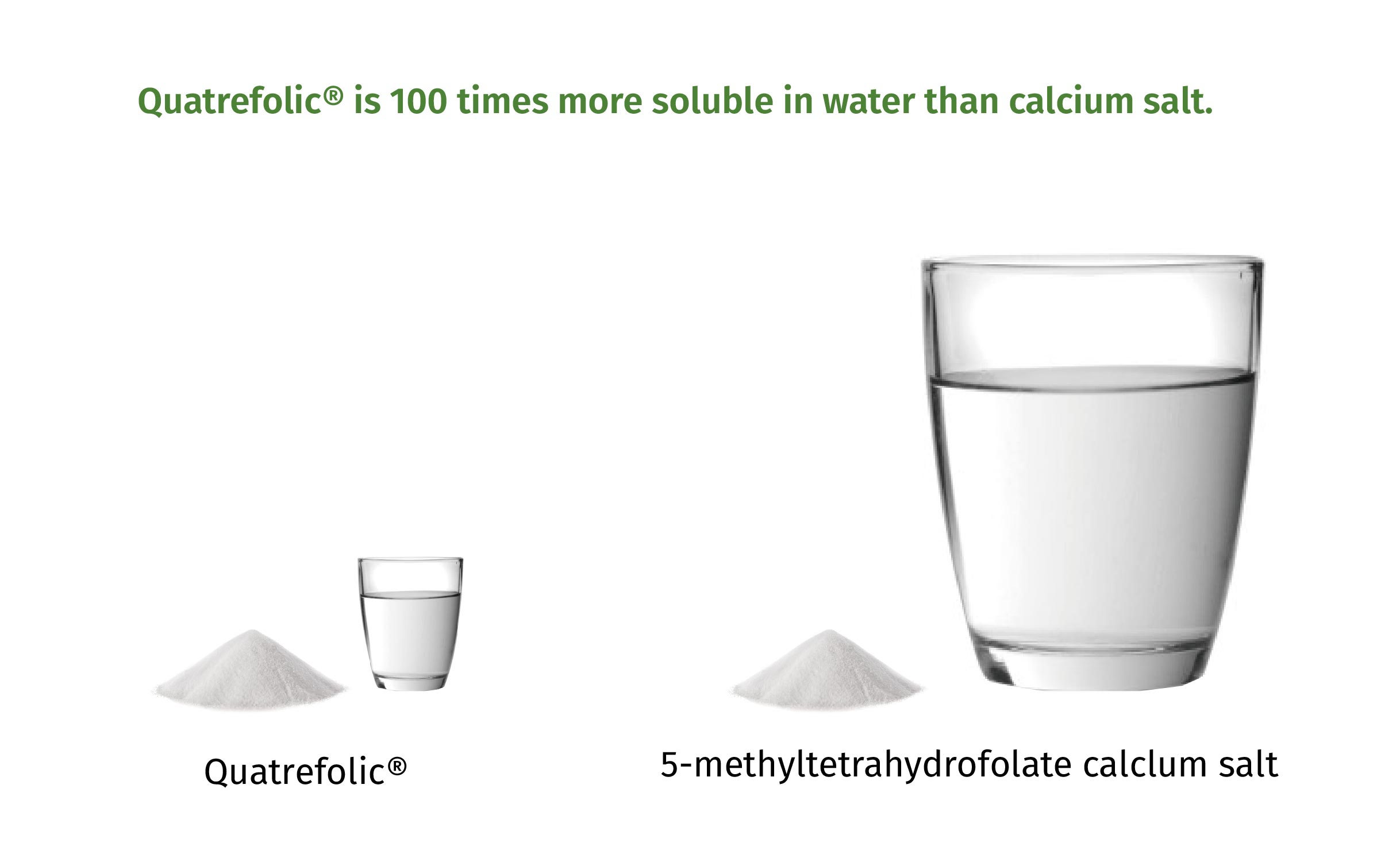 生物活性 (生物利用度) | Quatrefolic® | 活性葉酸 | 第四代葉酸